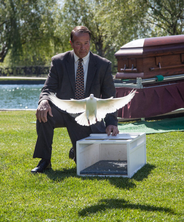 White Dove Release History – White Dove Release